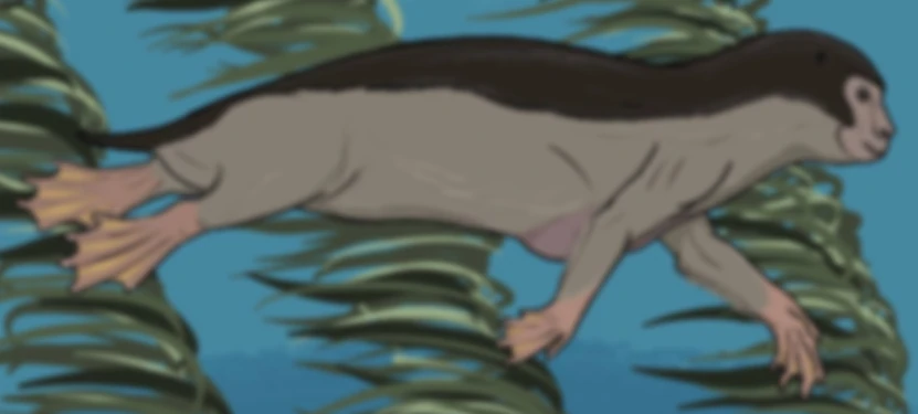 Sea monkey | SciiFii Wiki | Fandom