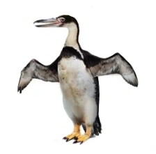 Waimanu | SciiFii Wiki | Fandom