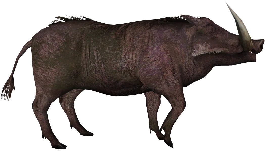 Celebochoerus | SciiFii Wiki | Fandom