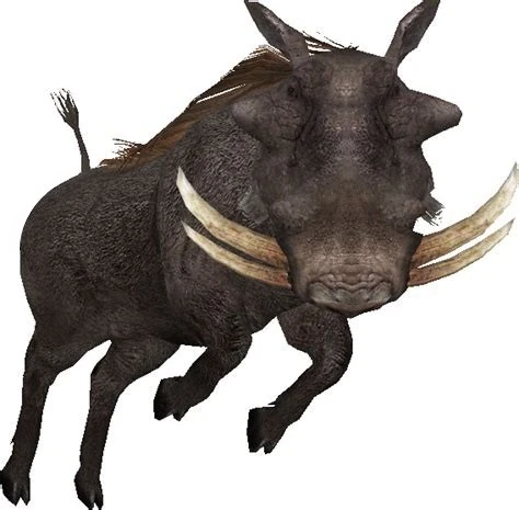 Metridiochoerus | SciiFii Wiki | Fandom