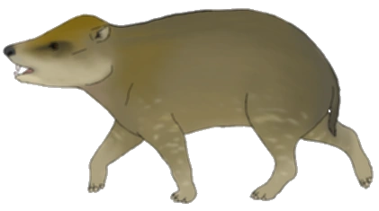 Titanohyrax | SciiFii Wiki | Fandom