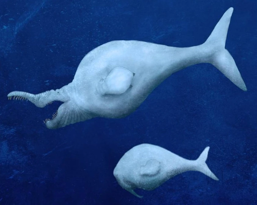 Trunko | SciiFii Wiki | Fandom