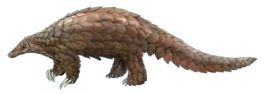 Manis paleojavanica | SciiFii Wiki | Fandom