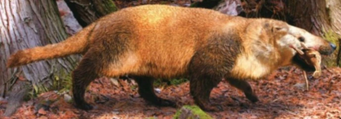 Repenomamus | SciiFii Wiki | Fandom