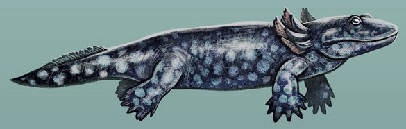 Ichthyostega | SciiFii Wiki | Fandom