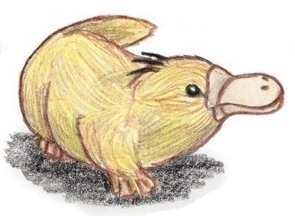 Psyduck | SciiFii Wiki | Fandom