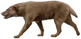 Plithocyon | SciiFii Wiki | Fandom