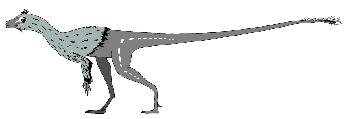 Lagosuchus | SciiFii Wiki | Fandom