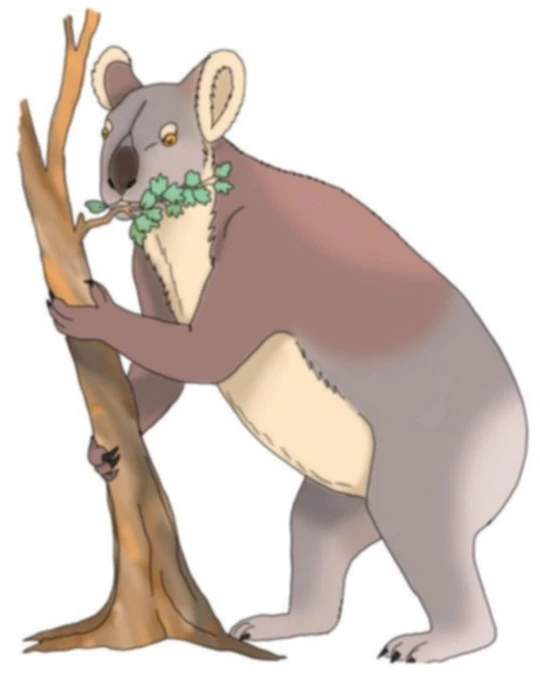 Chalicoala | SciiFii Wiki | Fandom