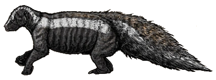 Hapalops | SciiFii Wiki | Fandom