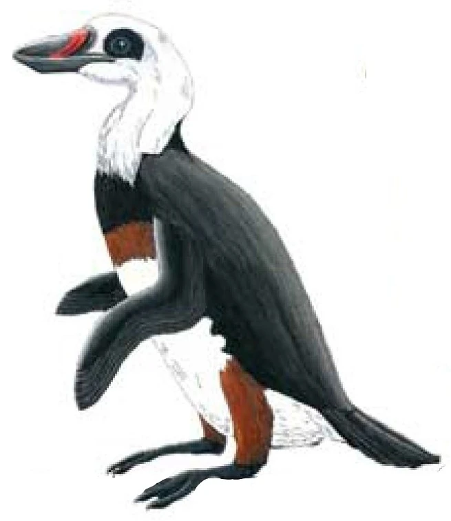 Miomancalla | SciiFii Wiki | Fandom