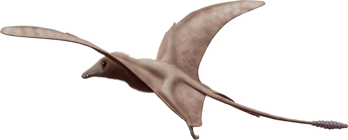 Sordes | SciiFii Wiki | Fandom