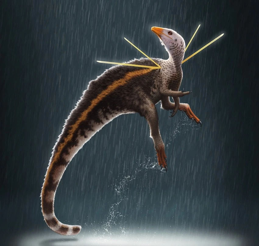 Ubirajara | SciiFii Wiki | Fandom