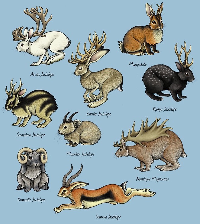 Jackalope Sciifii Wiki Fandom
