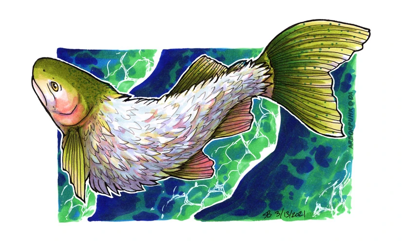 Fur-Bearing Trout (Sideshow Genetics) | SciiFii Wiki | Fandom