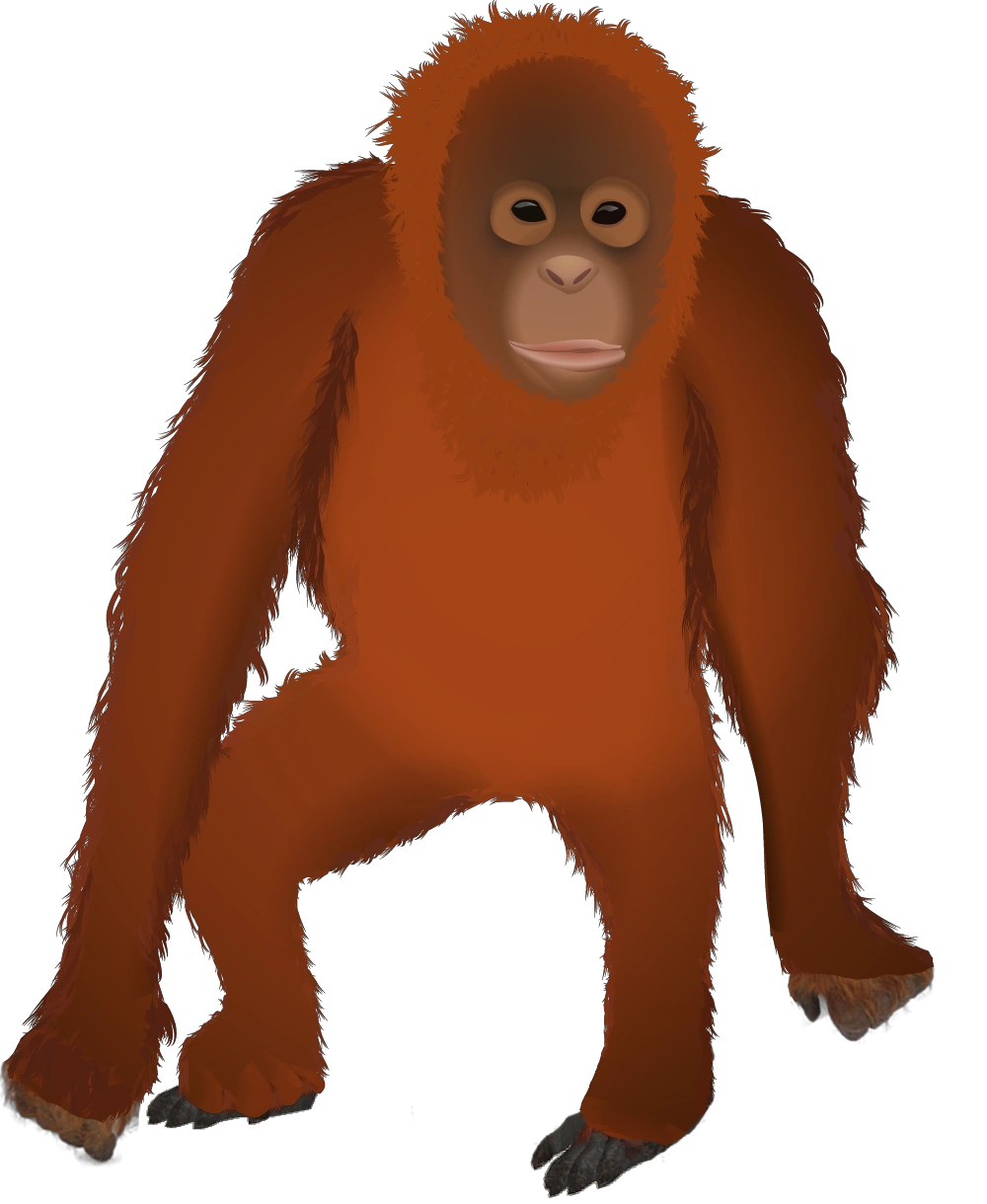 Pongo sapiens | SciiFii Wiki | Fandom