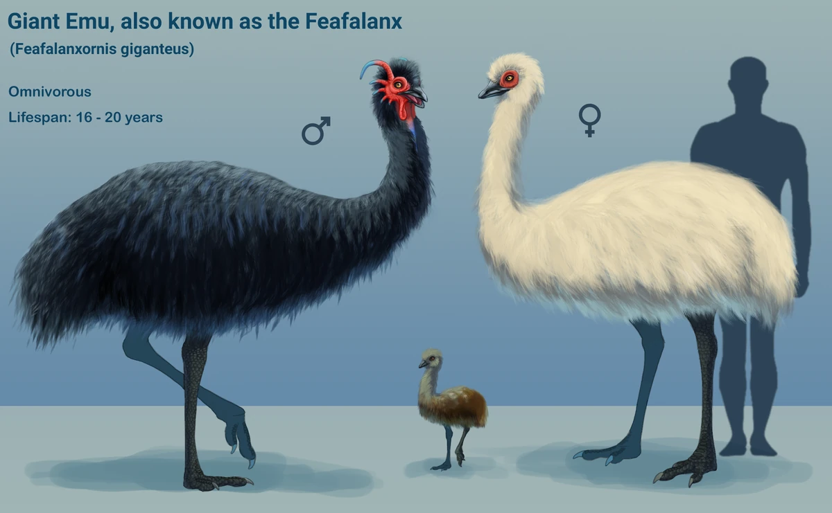 Giant emu | SciiFii Wiki | Fandom