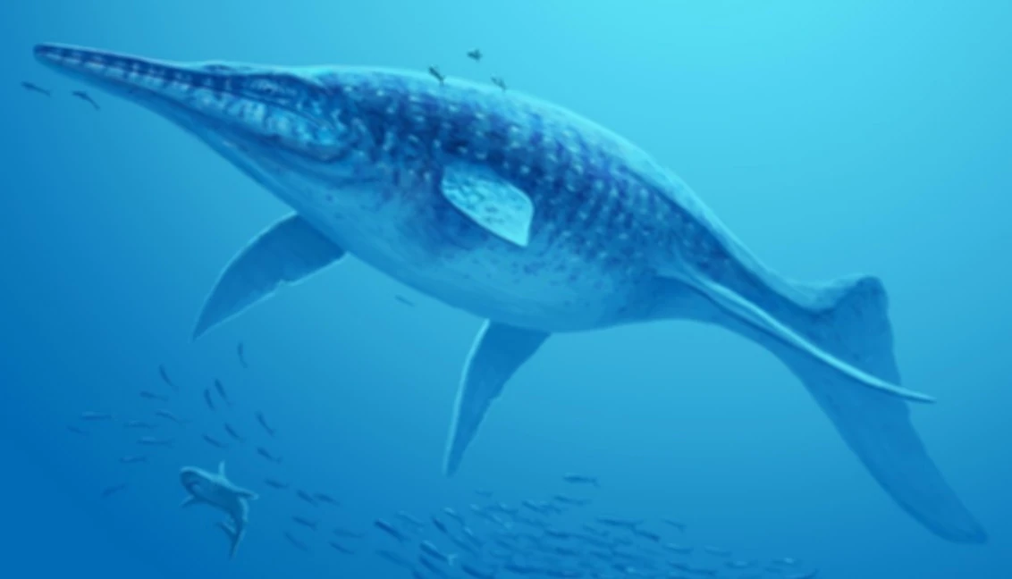 Shonisaurus | SciiFii Wiki | Fandom