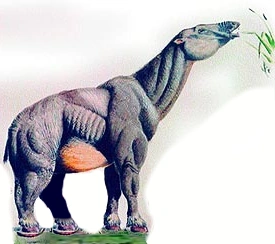 Indricothere horse | SciiFii Wiki | Fandom