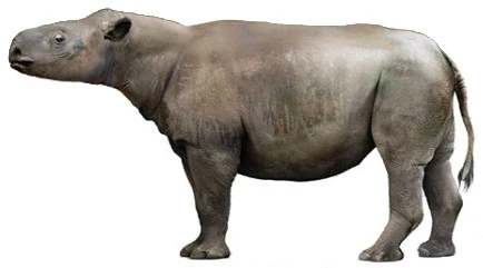 Aphelops | SciiFii Wiki | Fandom