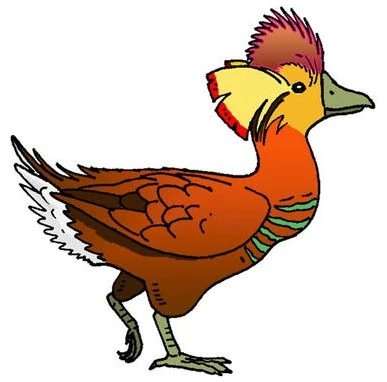 Ducock | SciiFii Wiki | Fandom