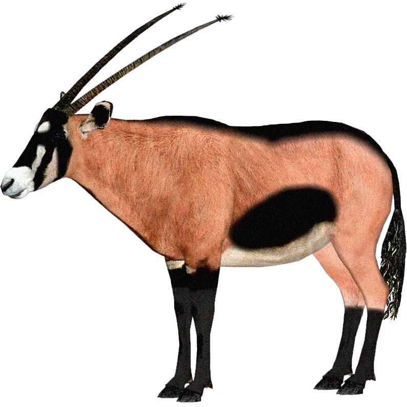 Sawbuck | SciiFii Wiki | Fandom