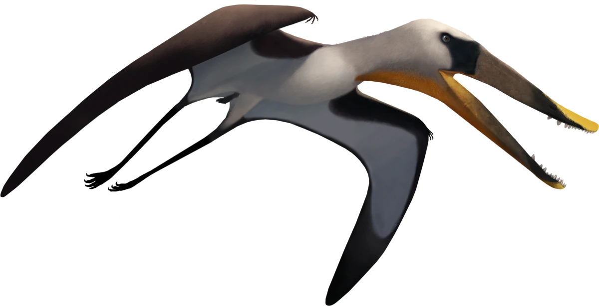 Istiodactylus | SciiFii Wiki | Fandom