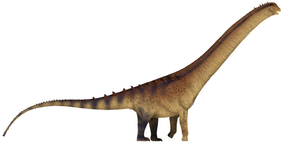 Patagotitan | SciiFii Wiki | Fandom