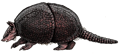 Pachyarmatherium | SciiFii Wiki | Fandom