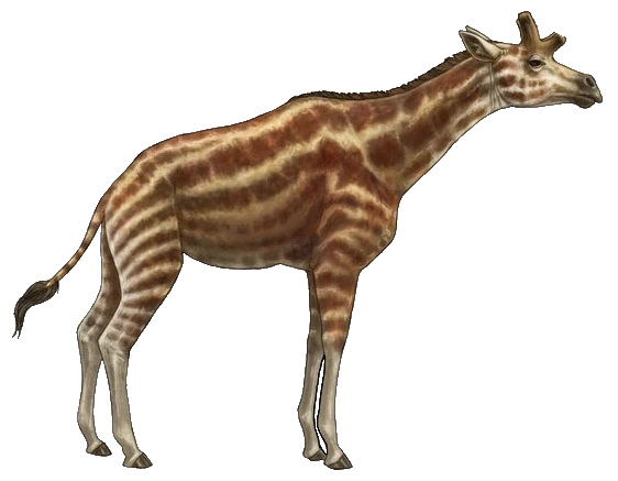 Shansitherium | SciiFii Wiki | Fandom