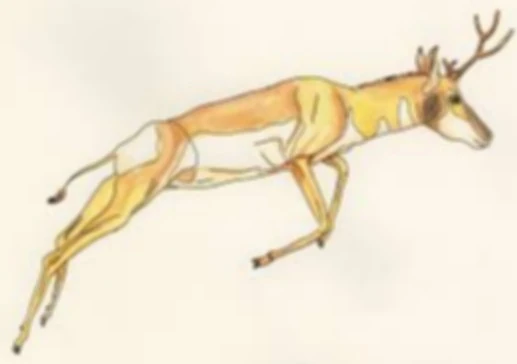 Ramoceros | SciiFii Wiki | Fandom