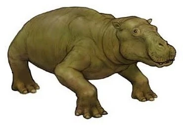 North American hippopotamus | SciiFii Wiki | Fandom