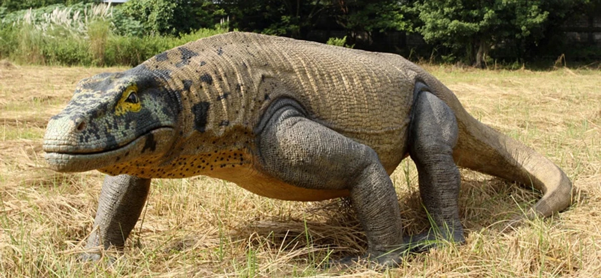 Megalania | SciiFii Wiki | Fandom