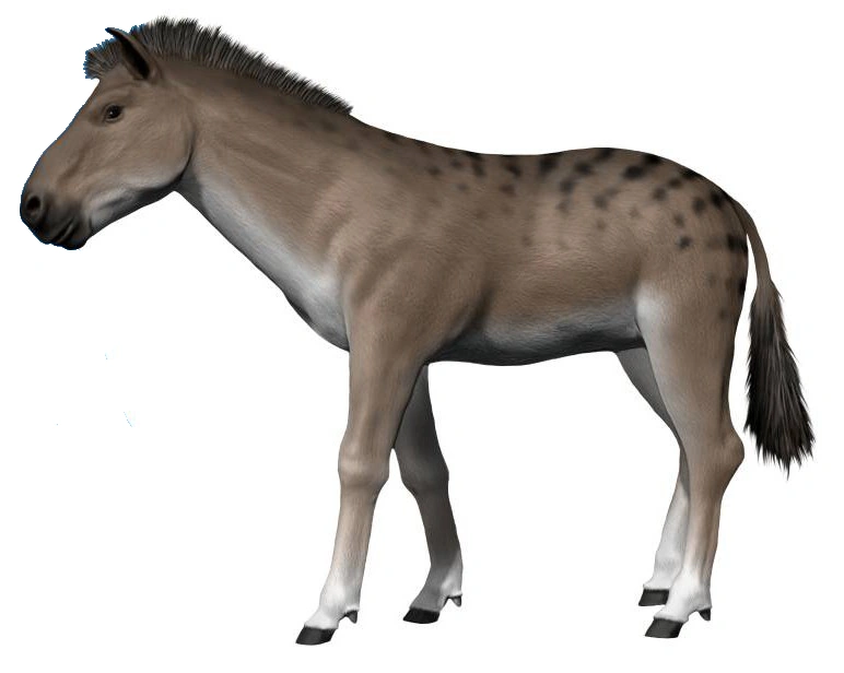 Merychippus | SciiFii Wiki | Fandom