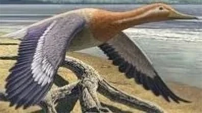 Vegavis | SciiFii Wiki | Fandom