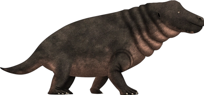 Tapinocephalus | SciiFii Wiki | Fandom