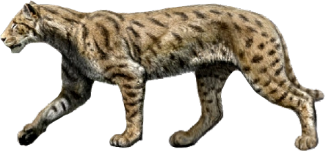 Dinofelis | SciiFii Wiki | Fandom