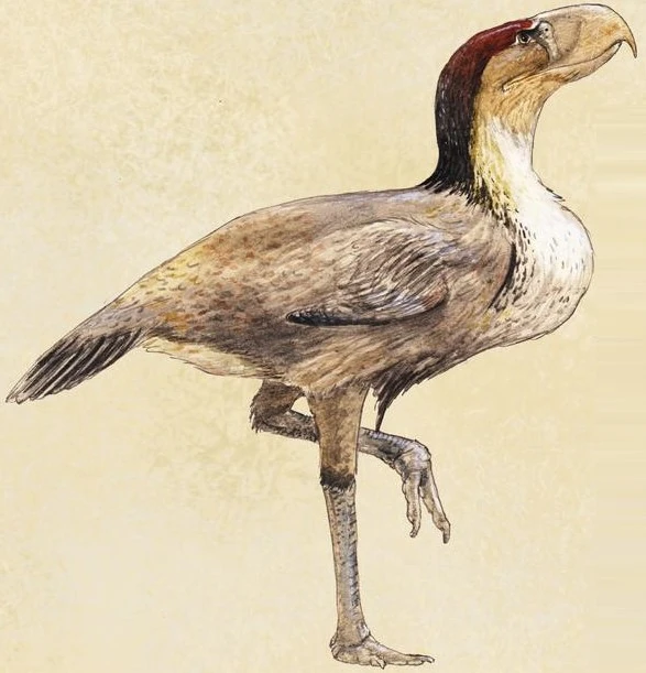 Phorusrhacos | SciiFii Wiki | Fandom