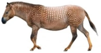 Anchitherium | SciiFii Wiki | Fandom