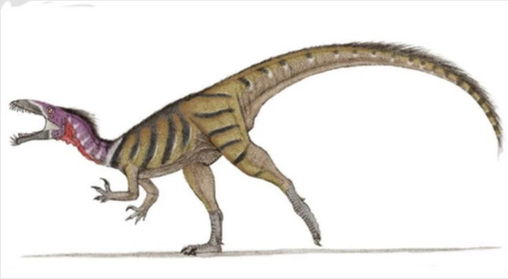 Masiakasaurus | SciiFii Wiki | Fandom