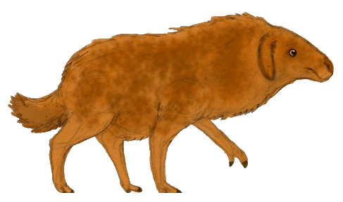 Shagger | SciiFii Wiki | Fandom