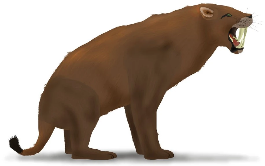 Tetrasmilus | SciiFii Wiki | Fandom