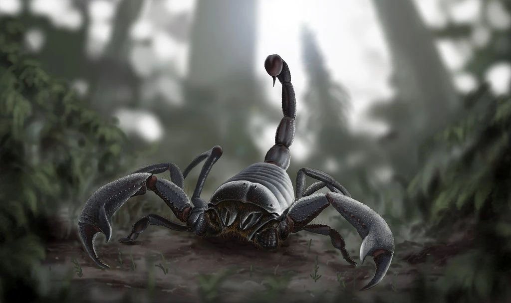 Pulmonoscorpius | SciiFii Wiki | Fandom