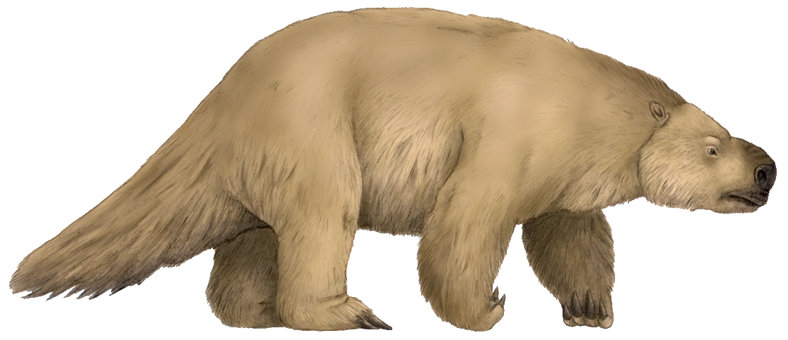 Paramylodon | SciiFii Wiki | Fandom