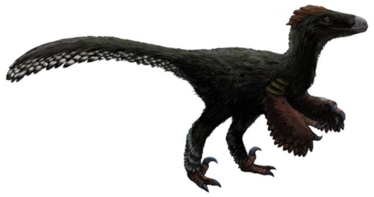 Shri | SciiFii Wiki | Fandom