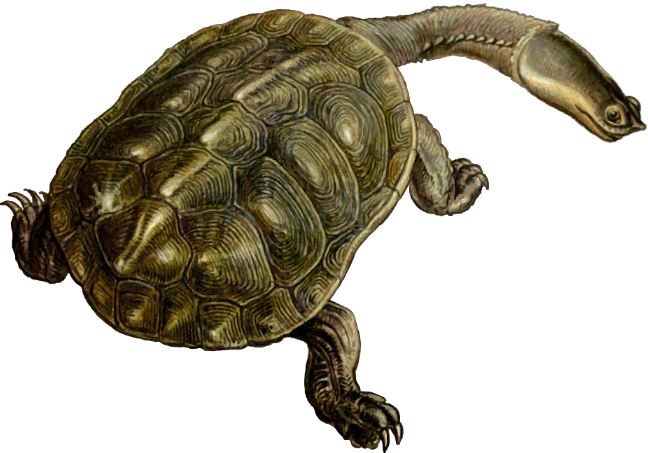 Carbonemys | SciiFii Wiki | Fandom