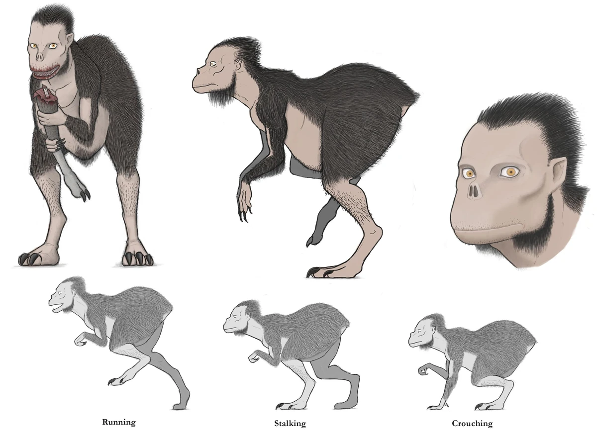 Ryuka | SciiFii Wiki | Fandom