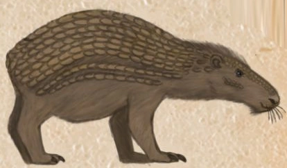 Desert rattleback | SciiFii Wiki | Fandom