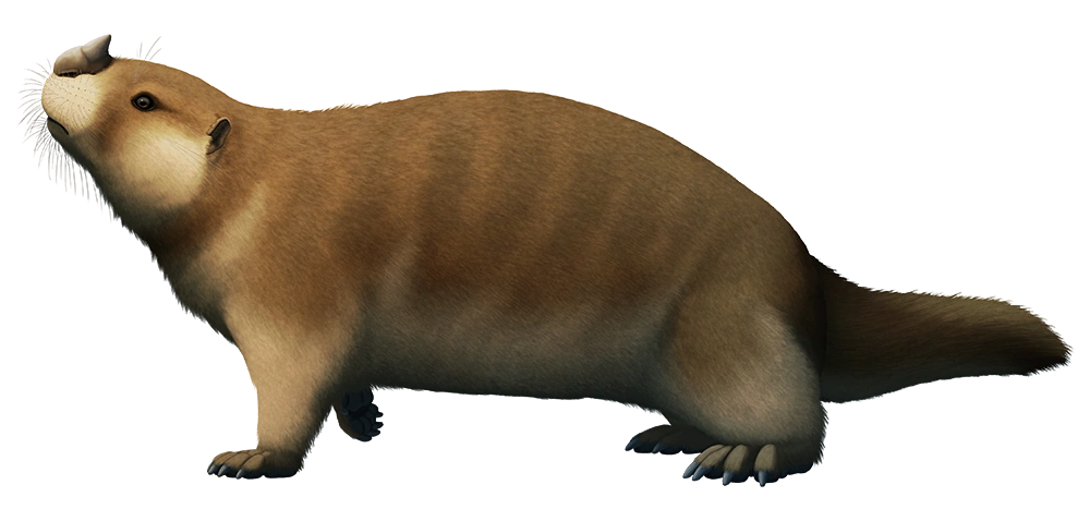 Adalatherium | SciiFii Wiki | Fandom