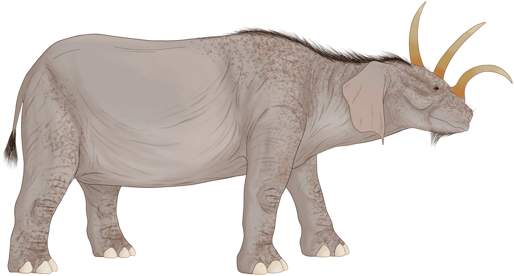 Kilopilopitsofy | SciiFii Wiki | Fandom